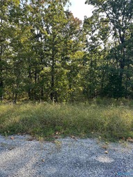 Home - Tressie Young