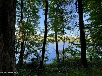 Home - Lisa Ostrander