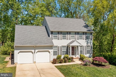 Home - Mr. Michael Anthony Soper JR.